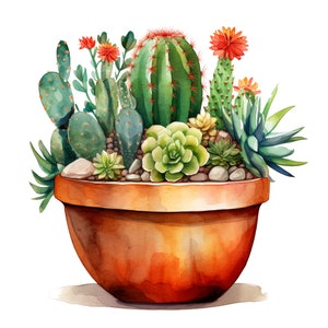 Watercolor Cactus Clipart, 12 Desert Cactus Clipart Desert Cacti ...