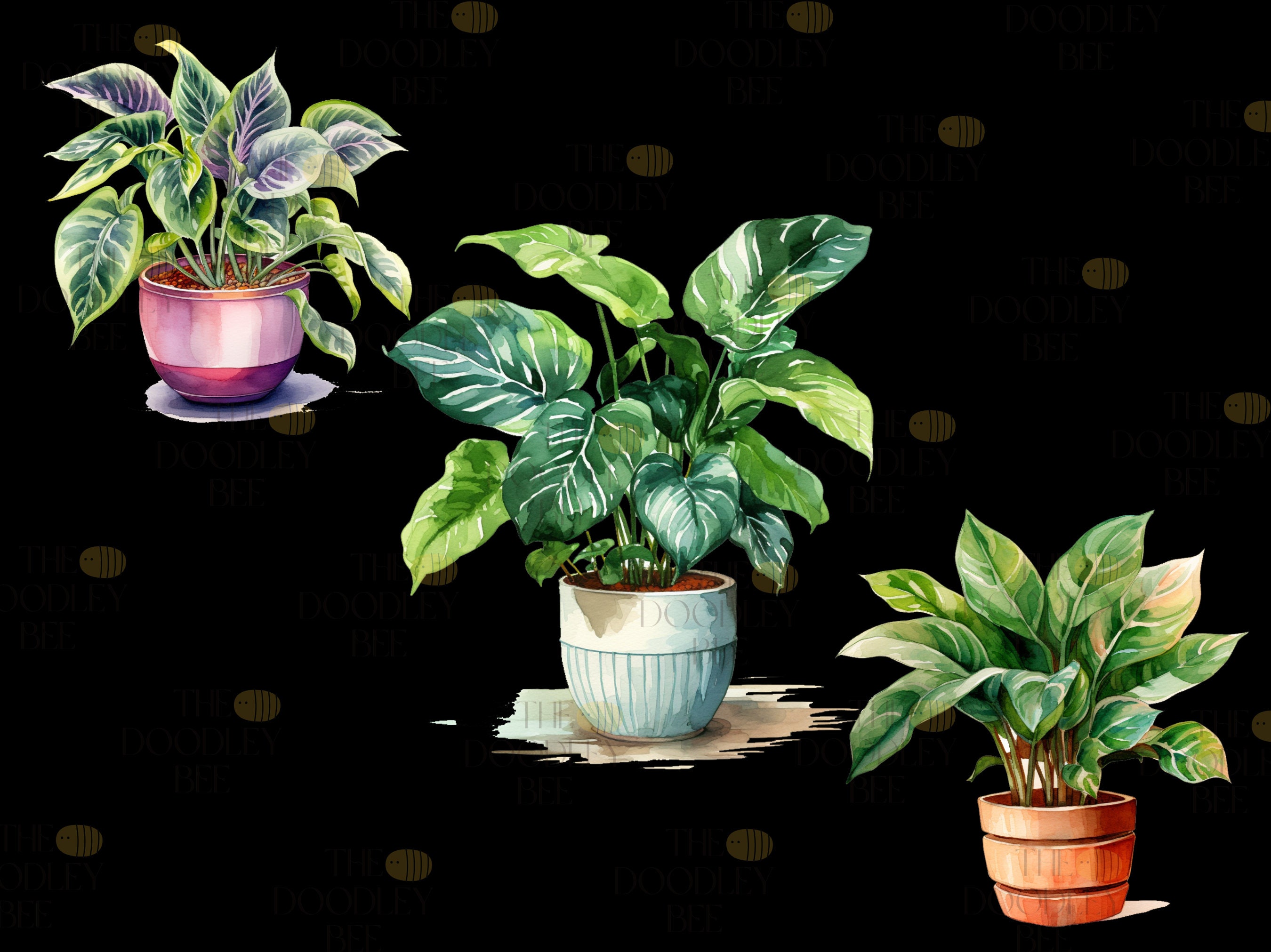 Watercolor House Plants Clipart Bundle House and Garden - Etsy