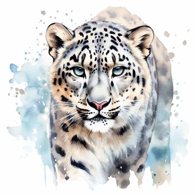 Snow Leopard Clipart, 12 High Quality PNG, Nursery Art, Instant Digital ...