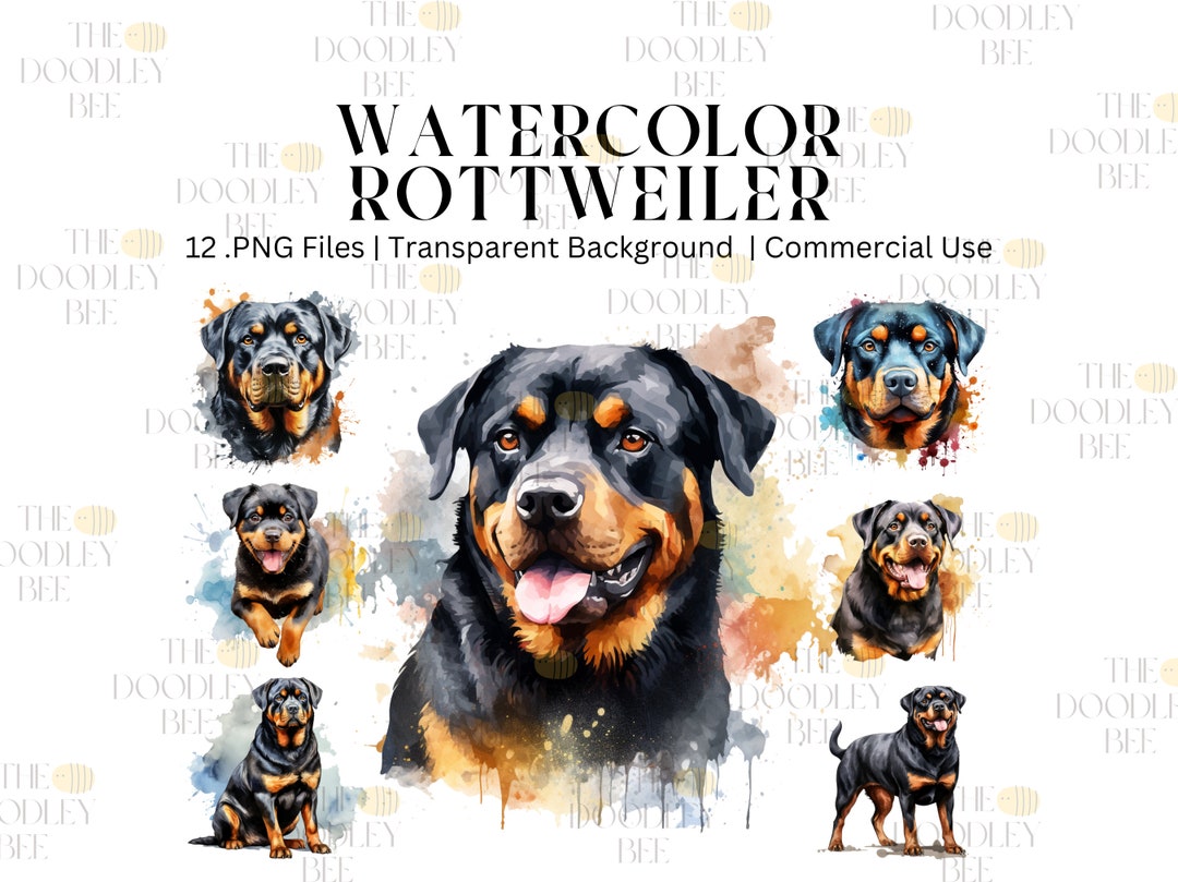 12 Watercolor Rottweiler Clipart, High Quality Pngs, Digital Planner ...