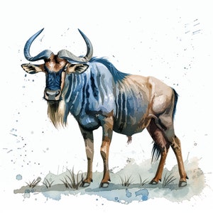 12 Blue Wildebeest Clipart, High Quality Jpgs, Instant Digital Download ...
