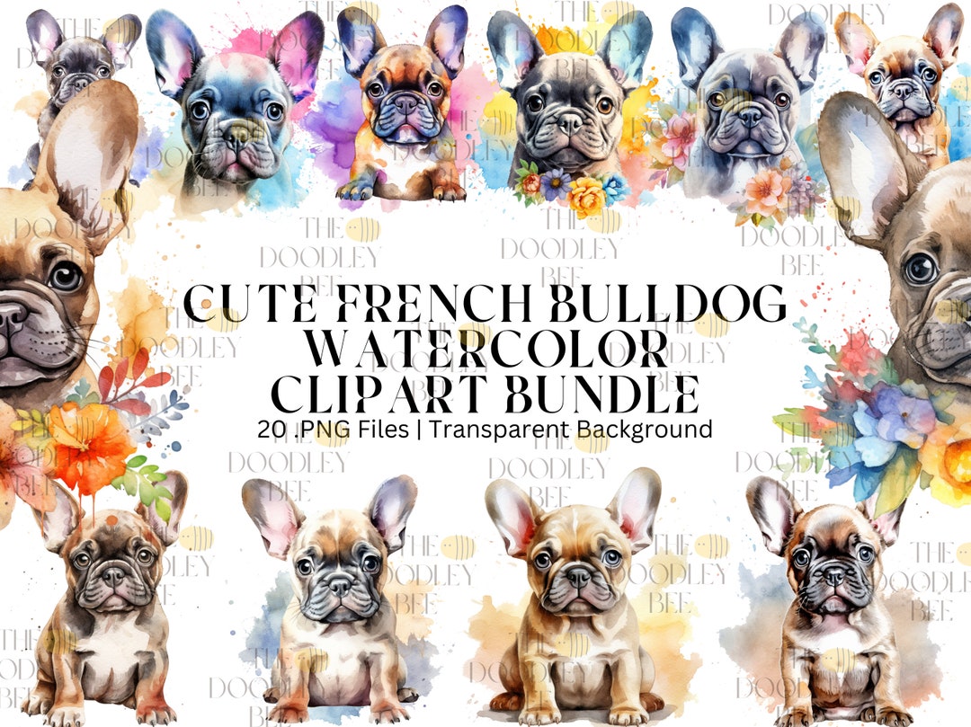 20 Watercolor French Bulldog Clipart, High Quality JPEG and PNG Files ...