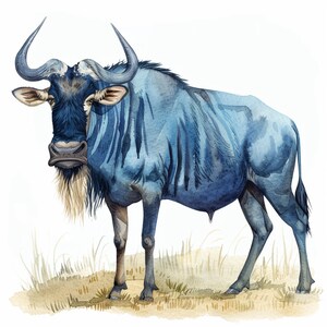 12 Blue Wildebeest Clipart, High Quality Jpgs, Instant Digital Download ...