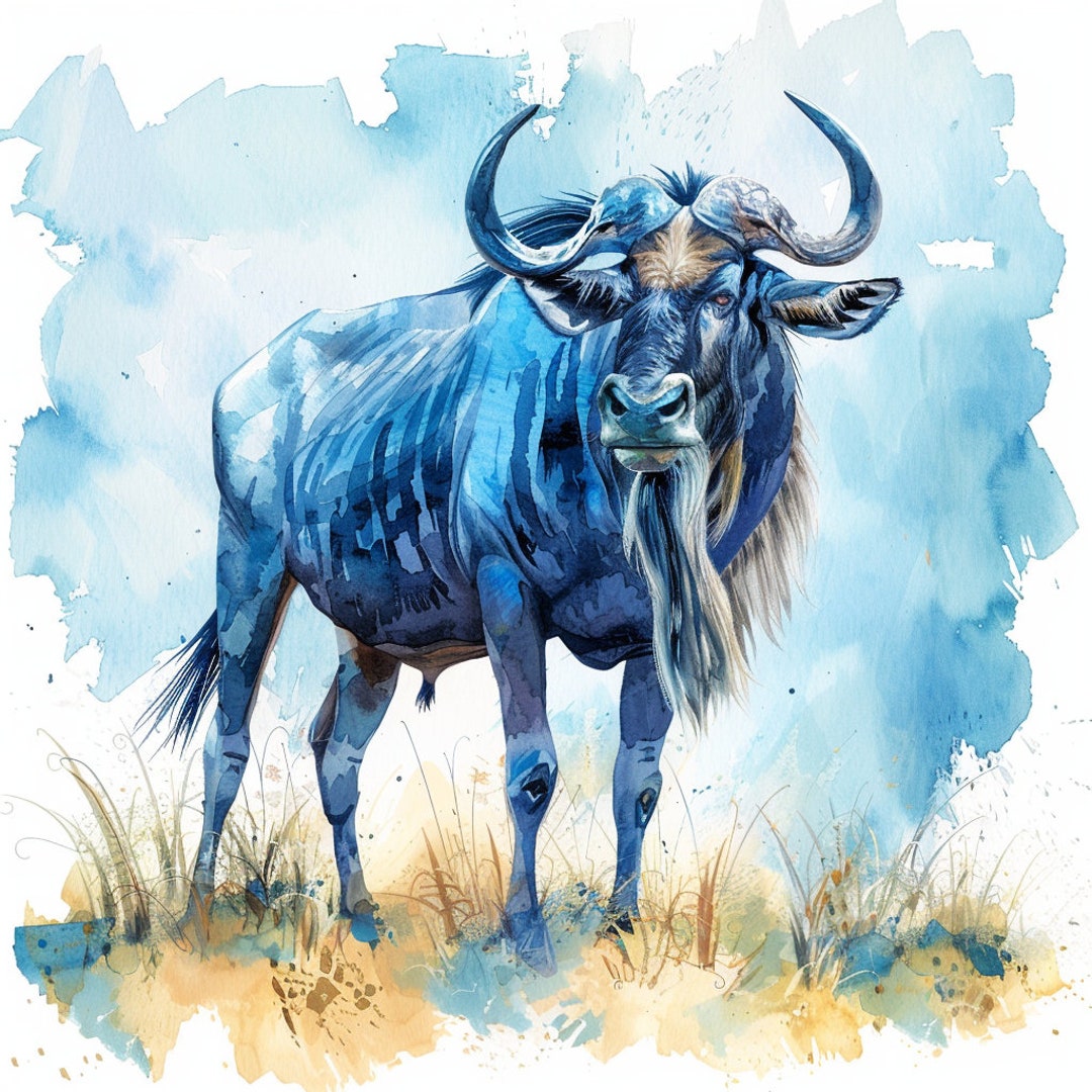 12 Blue Wildebeest Clipart, High Quality Jpgs, Instant Digital Download ...