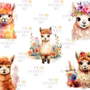 20 Cute Alpaca Watercolor PNG Clipart Bundle, Commercial Use, Digital ...