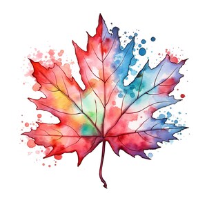 24 Watercolor Maple Leaf Clipart Bundle for Commercial Use - Instant ...