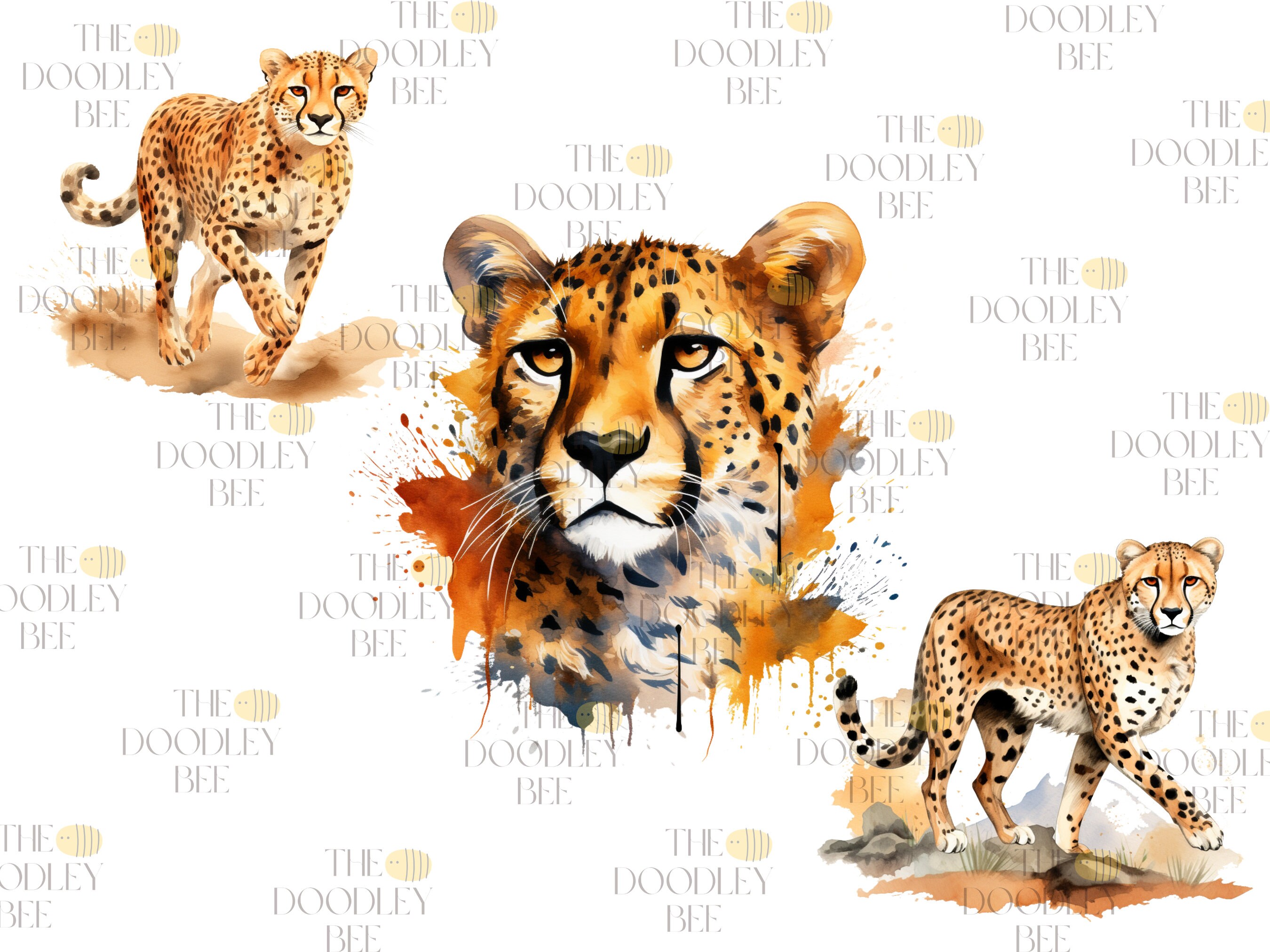 Cheetah Clipart, 12 High Quality Pngs, Nursery Art, Instant Digital ...