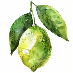Watercolor Green Lemon Clipart, 12 High Quality Pngs, Digital Download ...