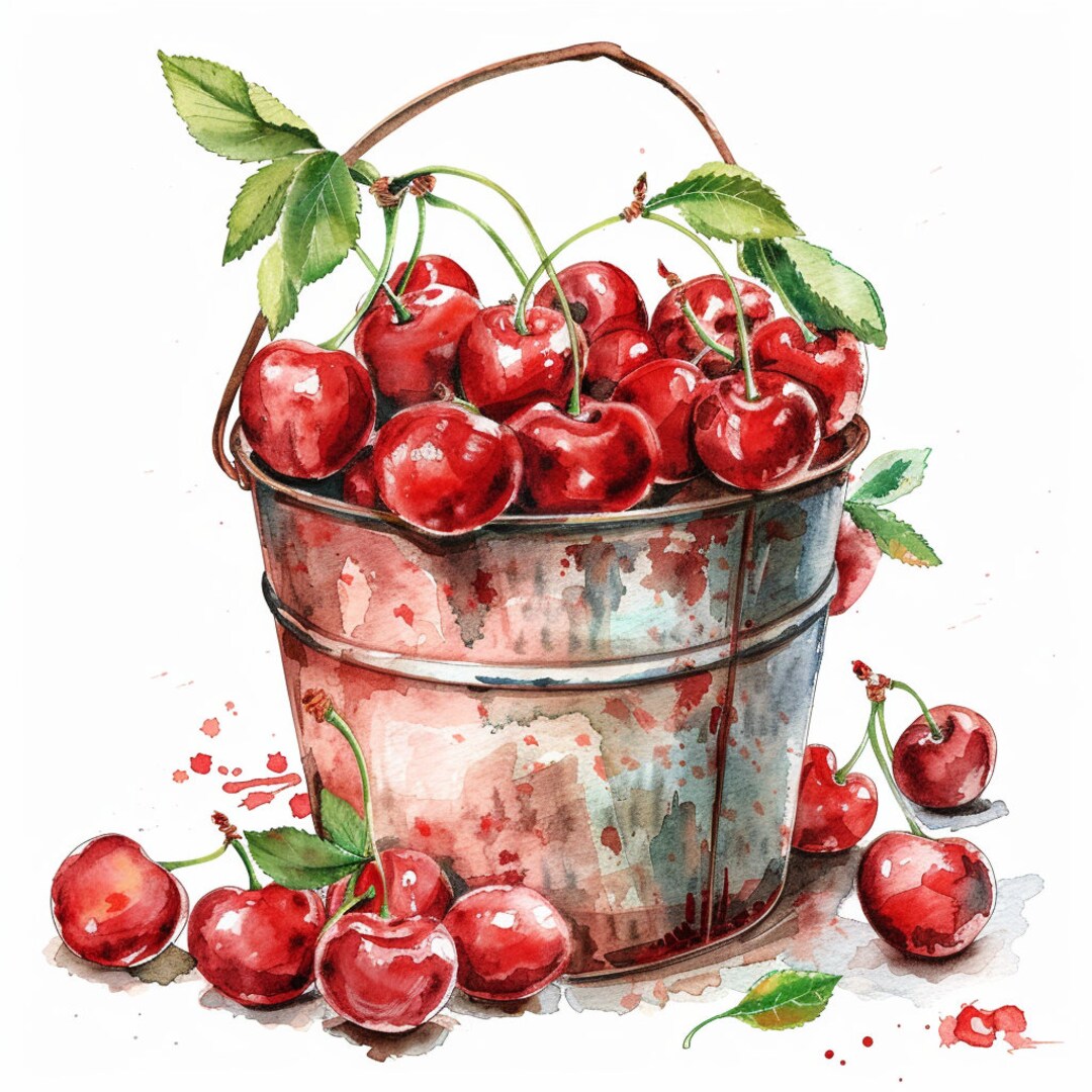 12 Cherry Png Graphics Bundle, Cherry Clipart, Fruit Png Designs ...