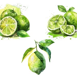 Watercolor Green Lemon Clipart, 12 High Quality Pngs, Digital Download ...