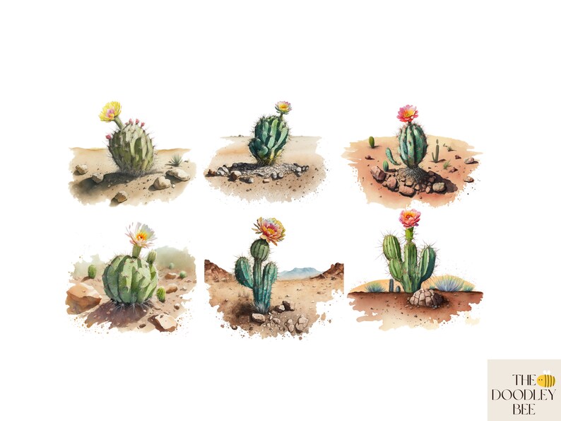 15 Watercolor Cactus Clipart Bundle for Commercial Use - Etsy