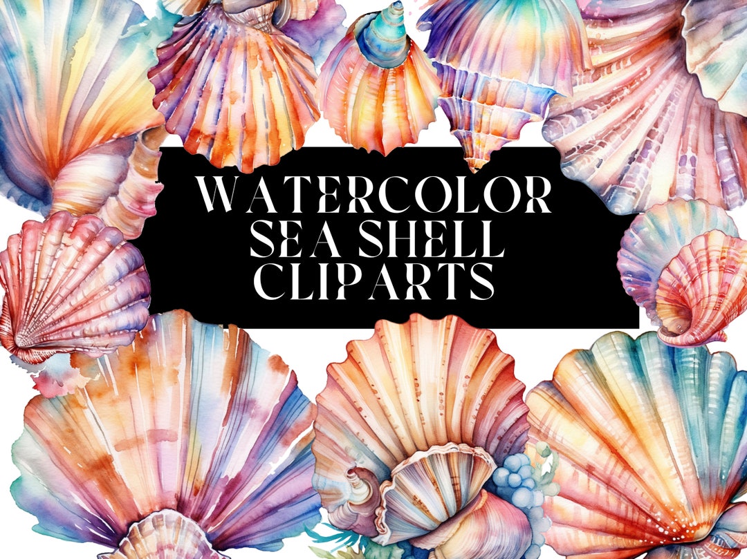 20 Watercolor Sea Shell Clipart Bundle for Commercial Use - Instant ...