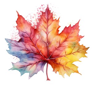 24 Watercolor Maple Leaf Clipart Bundle for Commercial Use - Instant ...
