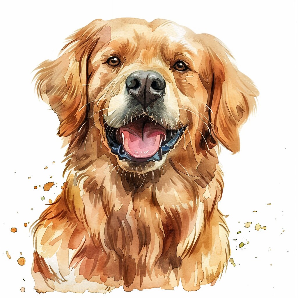 Watercolor Golden Retriever Clipart, 12 High Quality Pngs, Digital ...