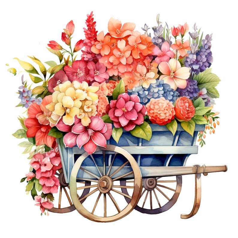 Watercolor Flower Carts Clipart Bundle 12 Digital Download - Etsy