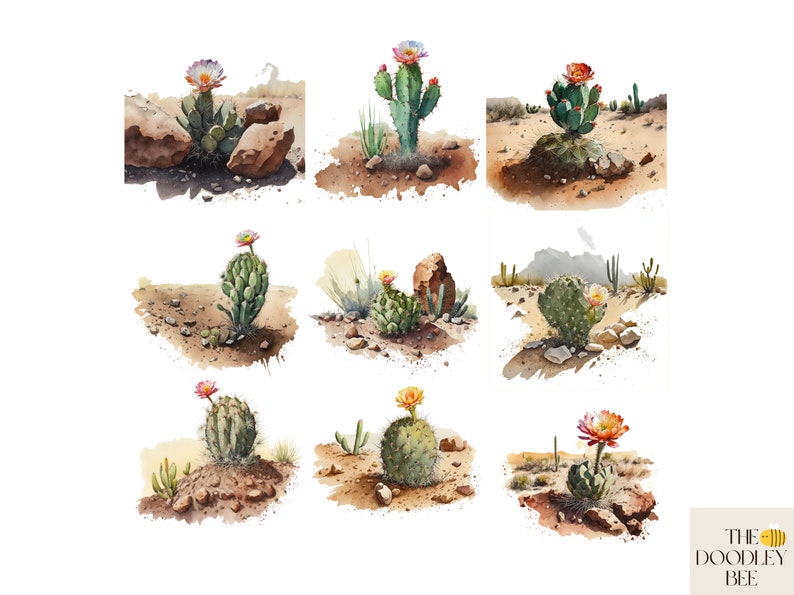 15 Watercolor Cactus Clipart Bundle for Commercial Use Instant Download ...