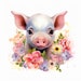 24 Baby Pig Watercolor Clipart PNG Bundle , Commercial Use, Digital ...