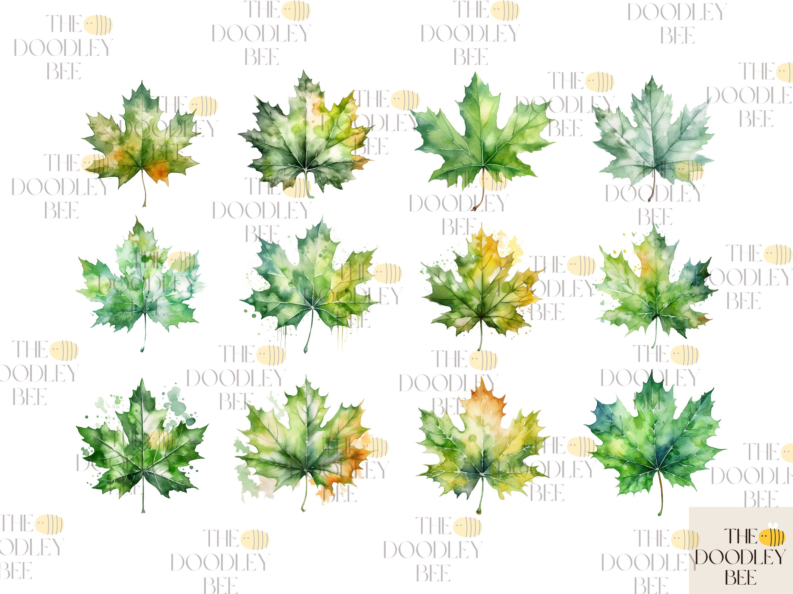 44 Oak and Maple Leaf Watercolor Clipart PNG Bundle - Etsy