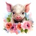 24 Baby Pig Watercolor Clipart PNG Bundle , Commercial Use, Digital ...