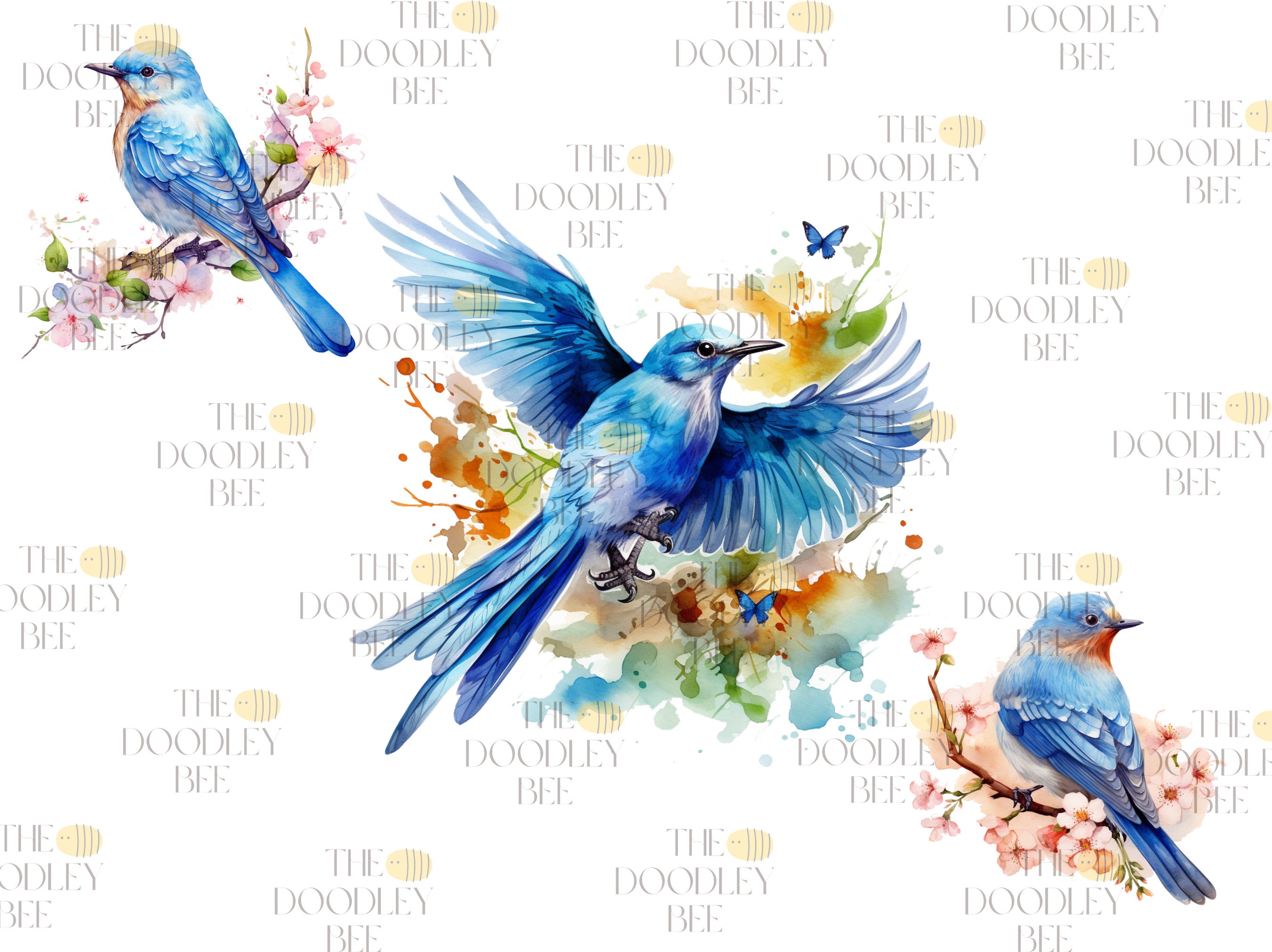 Watercolor Blue Bird Clipart 12 Pngs Digital Download Card - Etsy