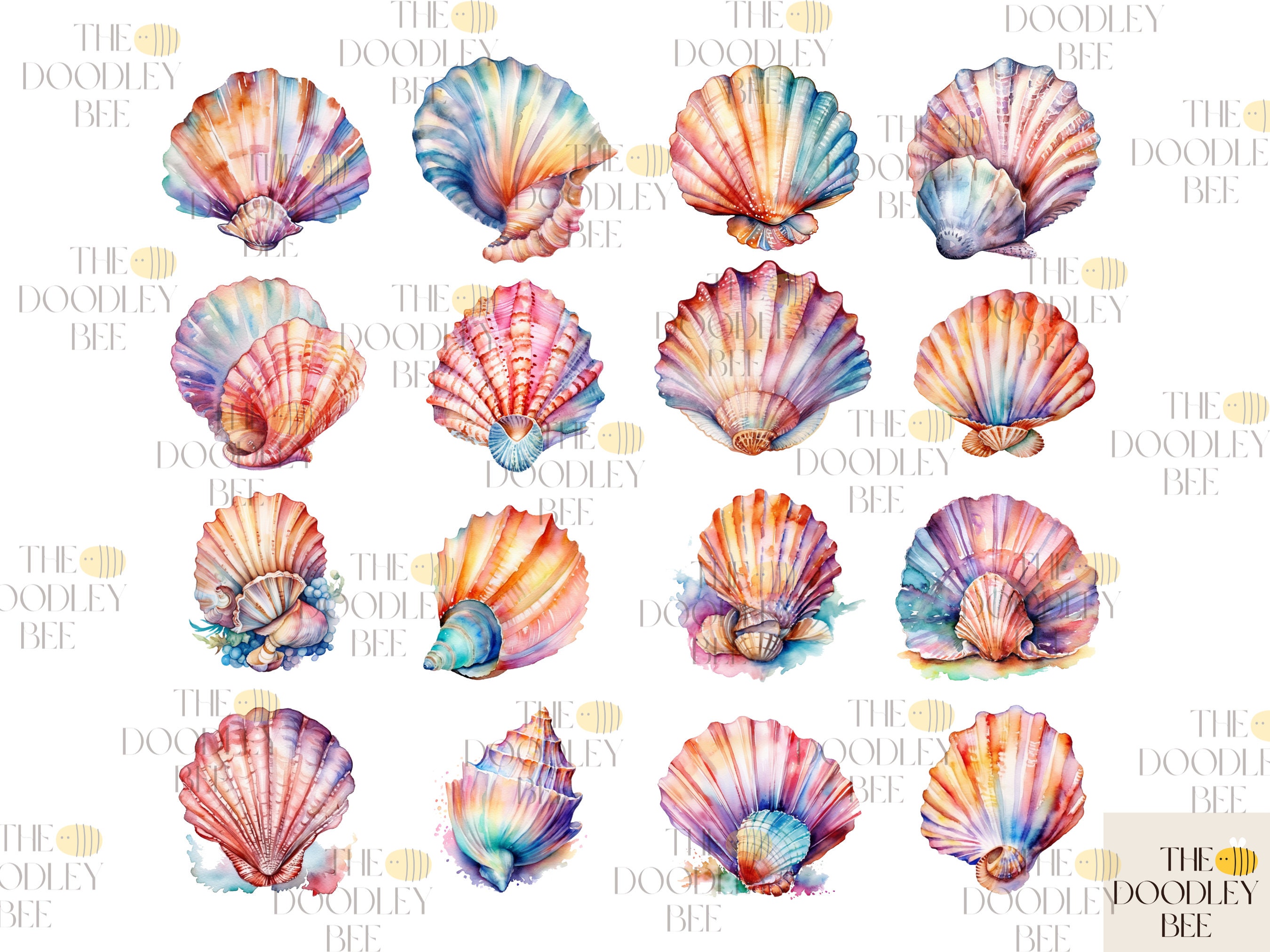 20 Watercolor Sea Shell Clipart Bundle for Commercial Use - Etsy