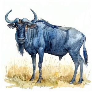12 Blue Wildebeest Clipart, High Quality Jpgs, Instant Digital Download ...