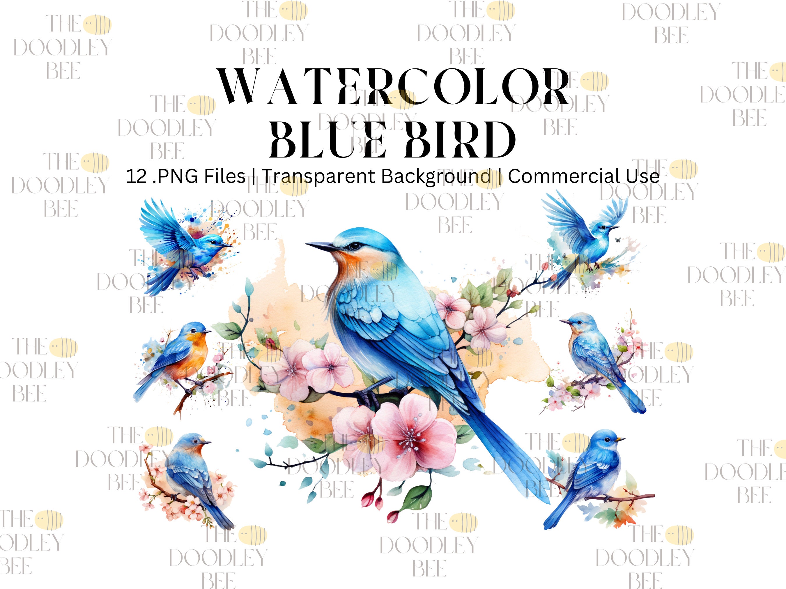 Watercolor Blue Bird Clipart 12 Pngs Digital Download Card - Etsy