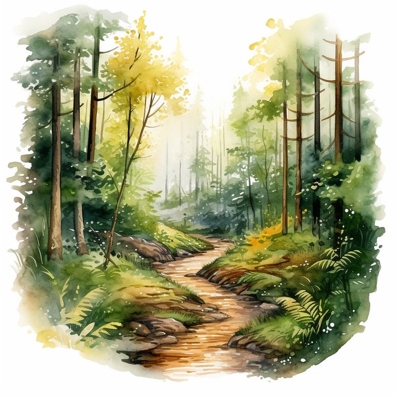 12 Cute Watercolor Forest Clipart, Wood Clip Art, Png. Digital ...