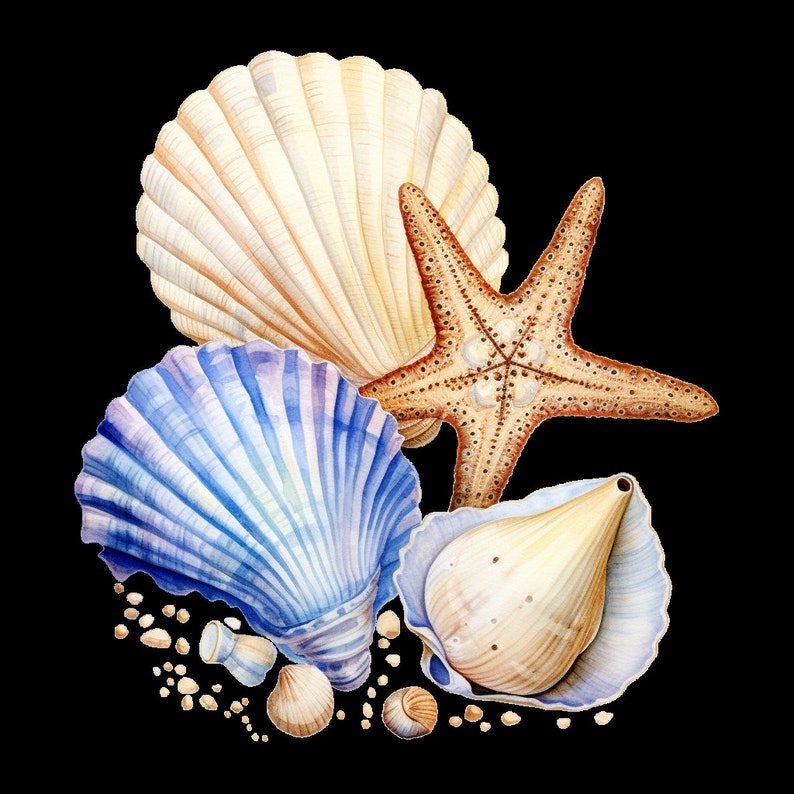 Watercolor Seashell Clipart, 10 Beach Clipart, Nautical Clipart, Ocean ...