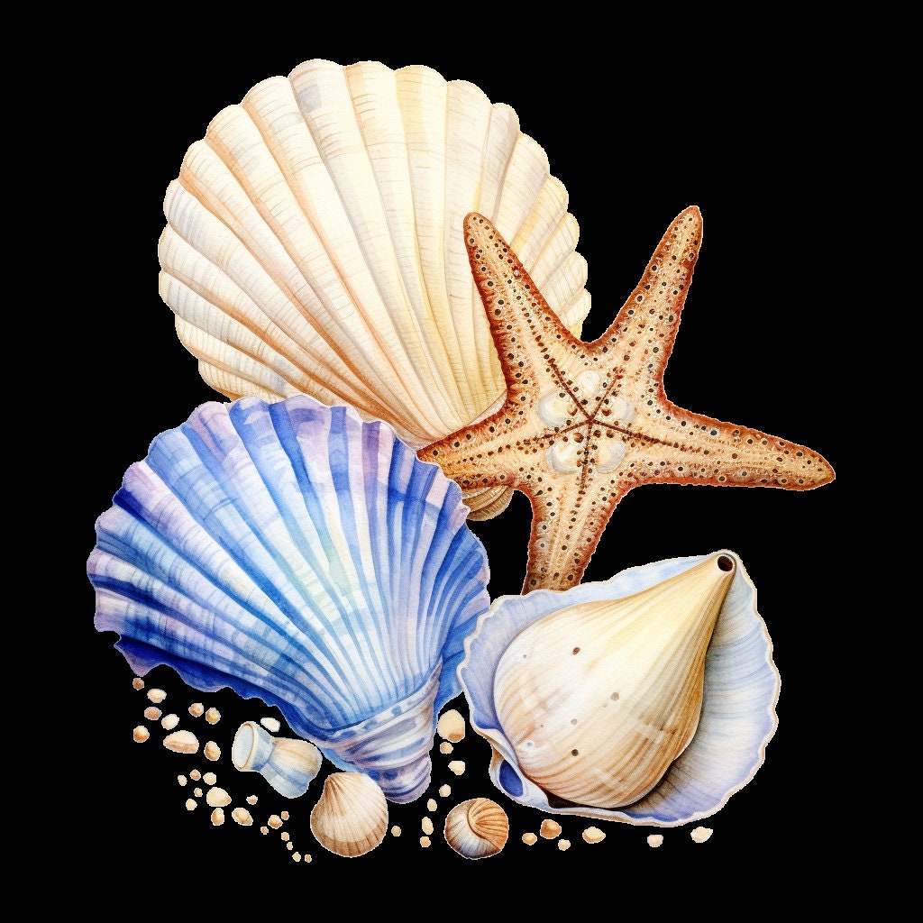 Watercolor Seashell Clipart, 10 Beach Clipart, Nautical Clipart, Ocean ...