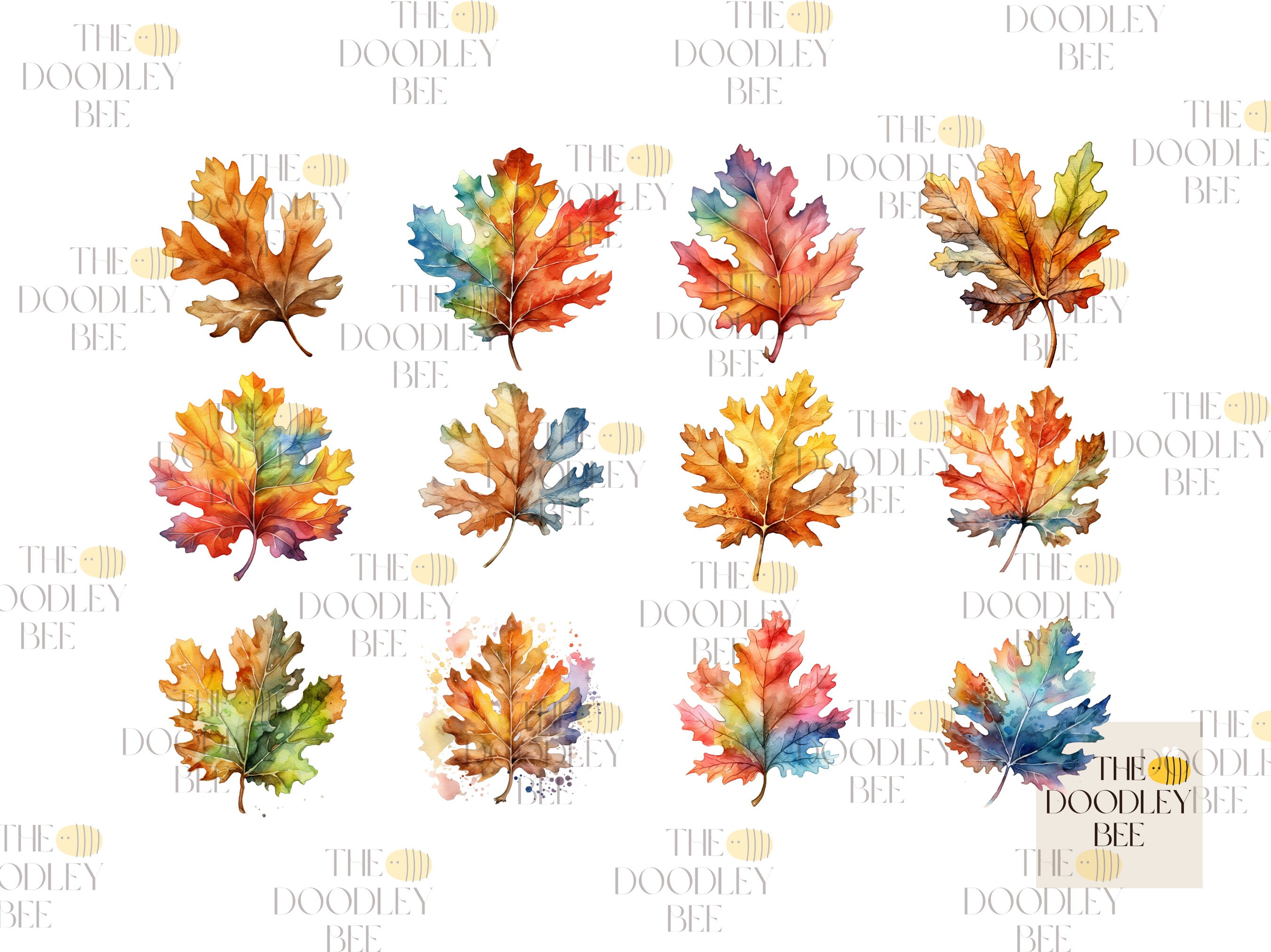44 Oak and Maple Leaf Watercolor Clipart PNG Bundle - Etsy