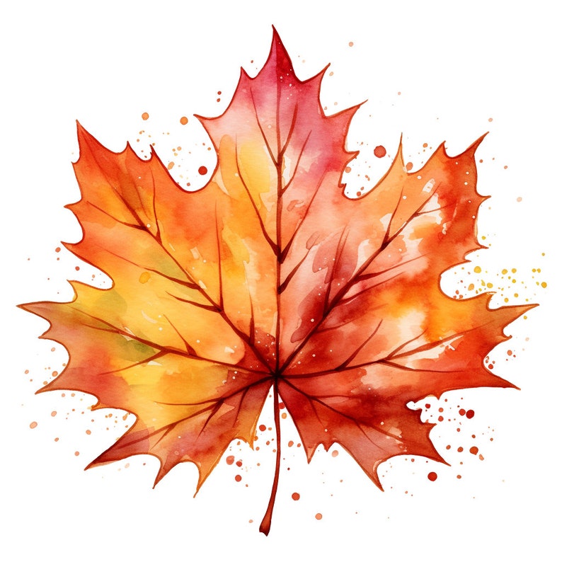 24 Watercolor Maple Leaf Clipart Bundle for Commercial Use Instant ...