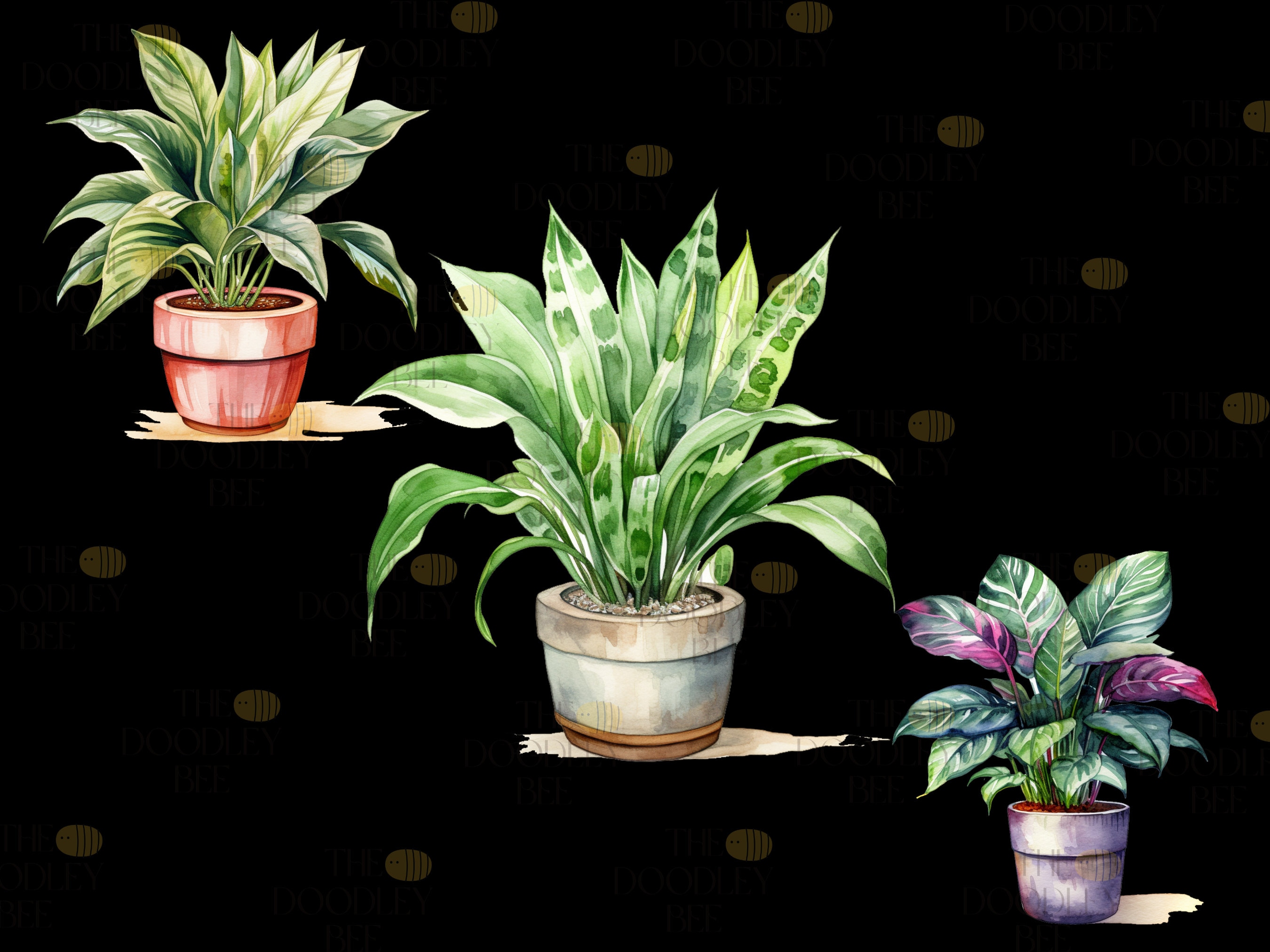 Watercolor House Plants Clipart Bundle House and Garden - Etsy