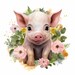 24 Baby Pig Watercolor Clipart PNG Bundle , Commercial Use, Digital ...