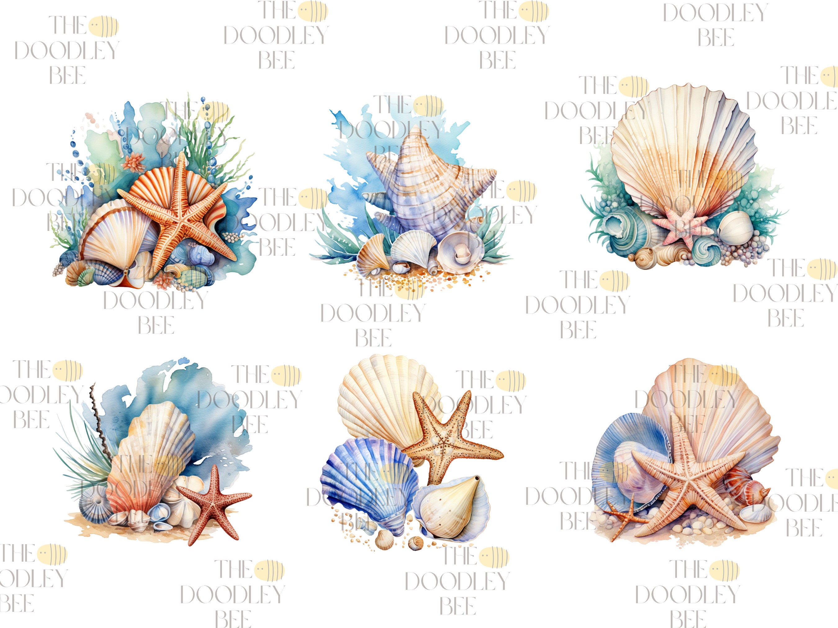 Watercolor Seashell Clipart Beach Clipart Nautical Clipart - Etsy