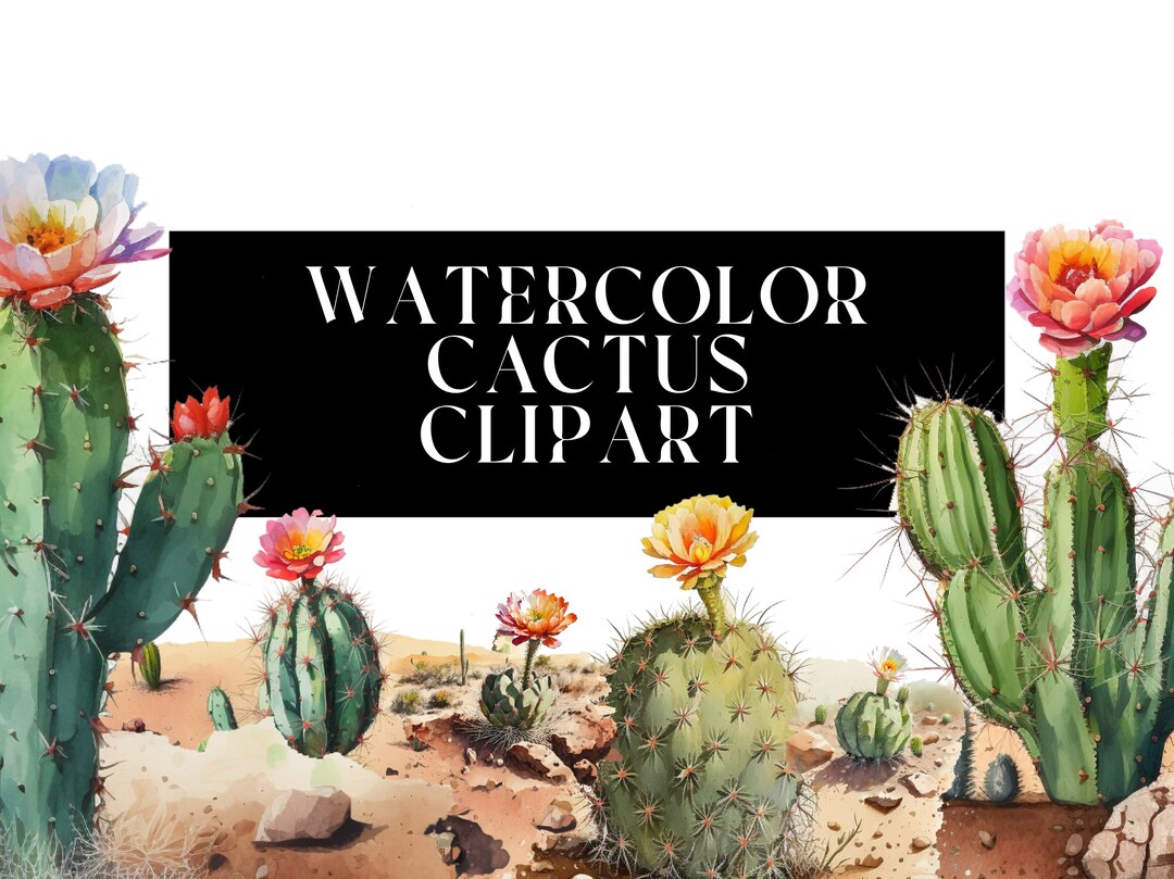 15 Watercolor Cactus Clipart Bundle for Commercial Use - Instant ...