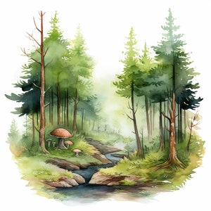 12 Cute Watercolor Forest Clipart, Wood Clip Art, Png. Digital ...