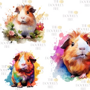 Digital Download 16 Cute Guinea Pig Clip Art Collection: High Quality ...