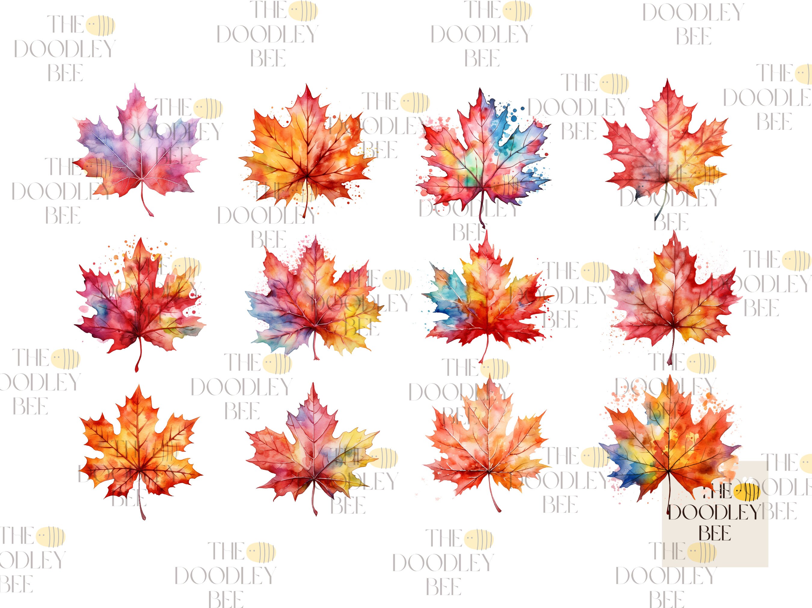 24 Watercolor Maple Leaf Clipart Bundle for Commercial Use - Etsy