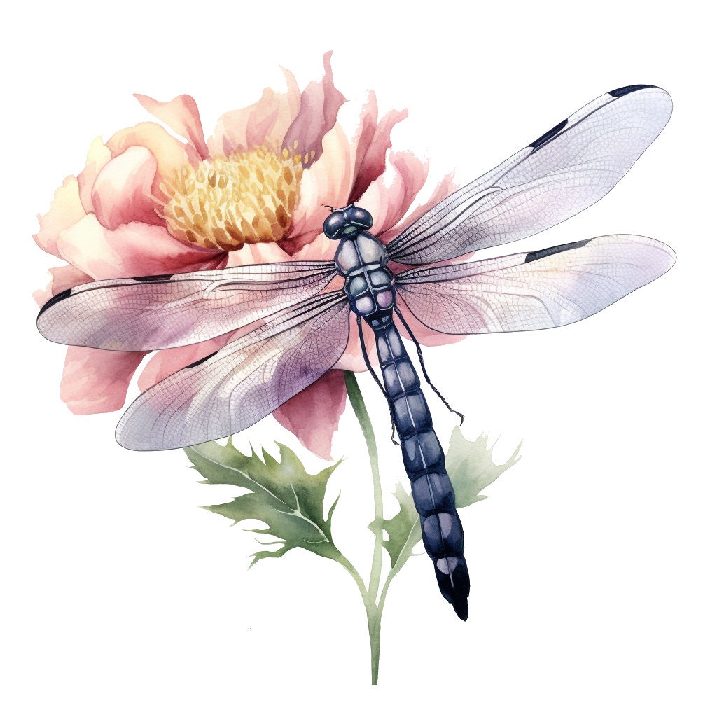 Watercolor Dragonfly on Flower Clipart, Clipart Bundle, Commercial Use ...