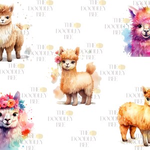 20 Cute Alpaca Watercolor PNG Clipart Bundle, Commercial Use, Digital ...
