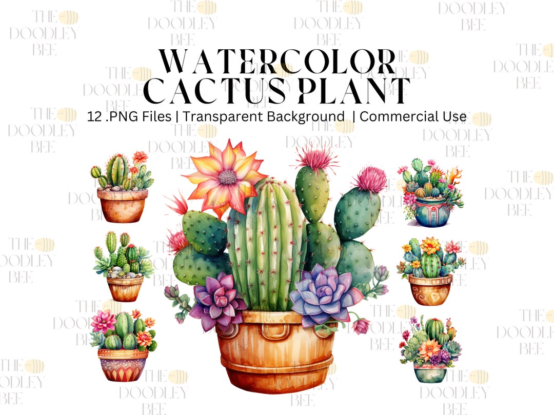 Watercolor Cactus Clipart, 12 Desert Cactus Clipart Desert Cacti ...