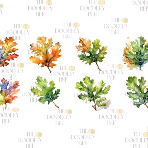 44 Oak and Maple Leaf Watercolor Clipart PNG Bundle, Commercial Use ...
