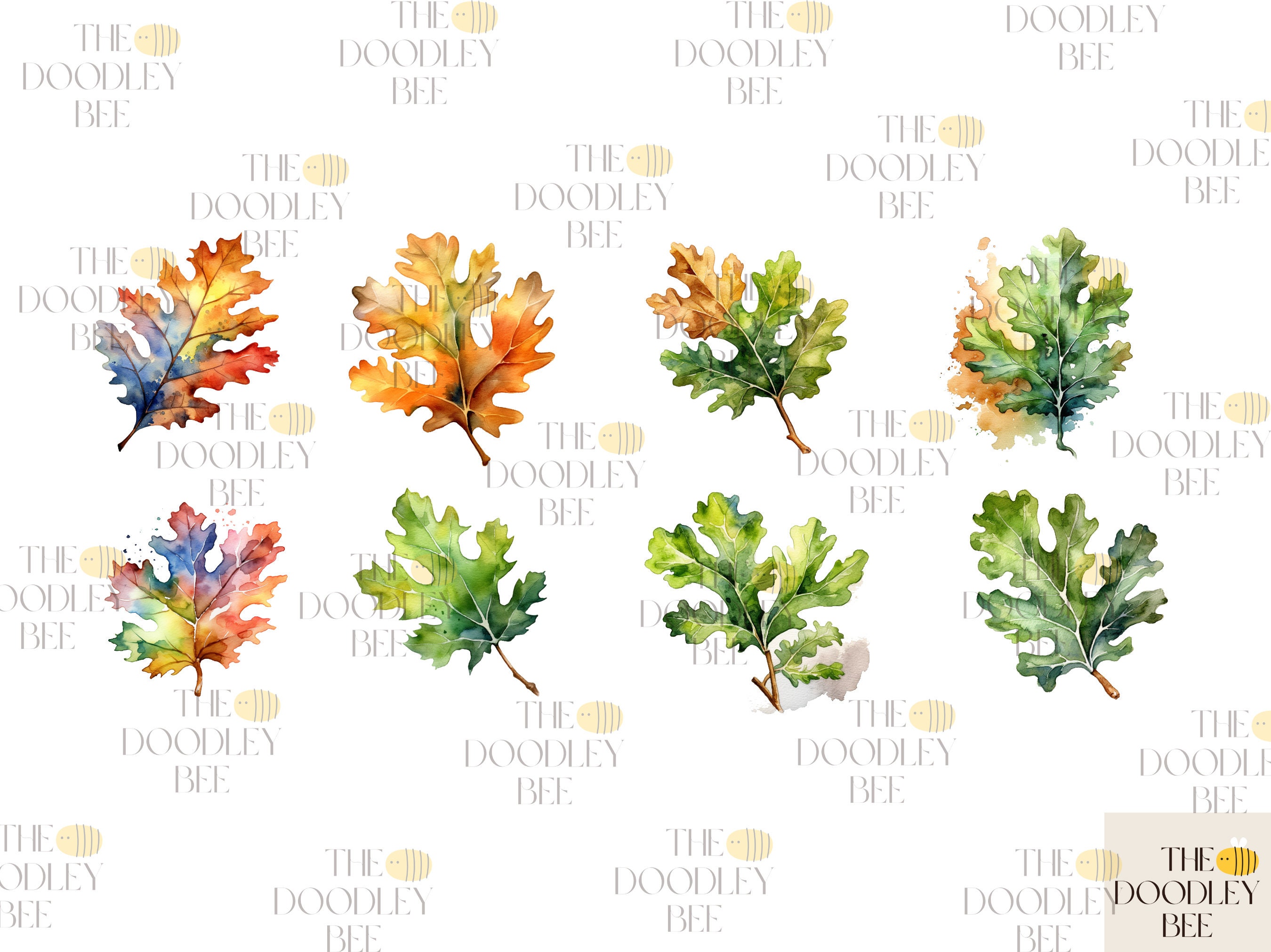 44 Oak and Maple Leaf Watercolor Clipart PNG Bundle - Etsy
