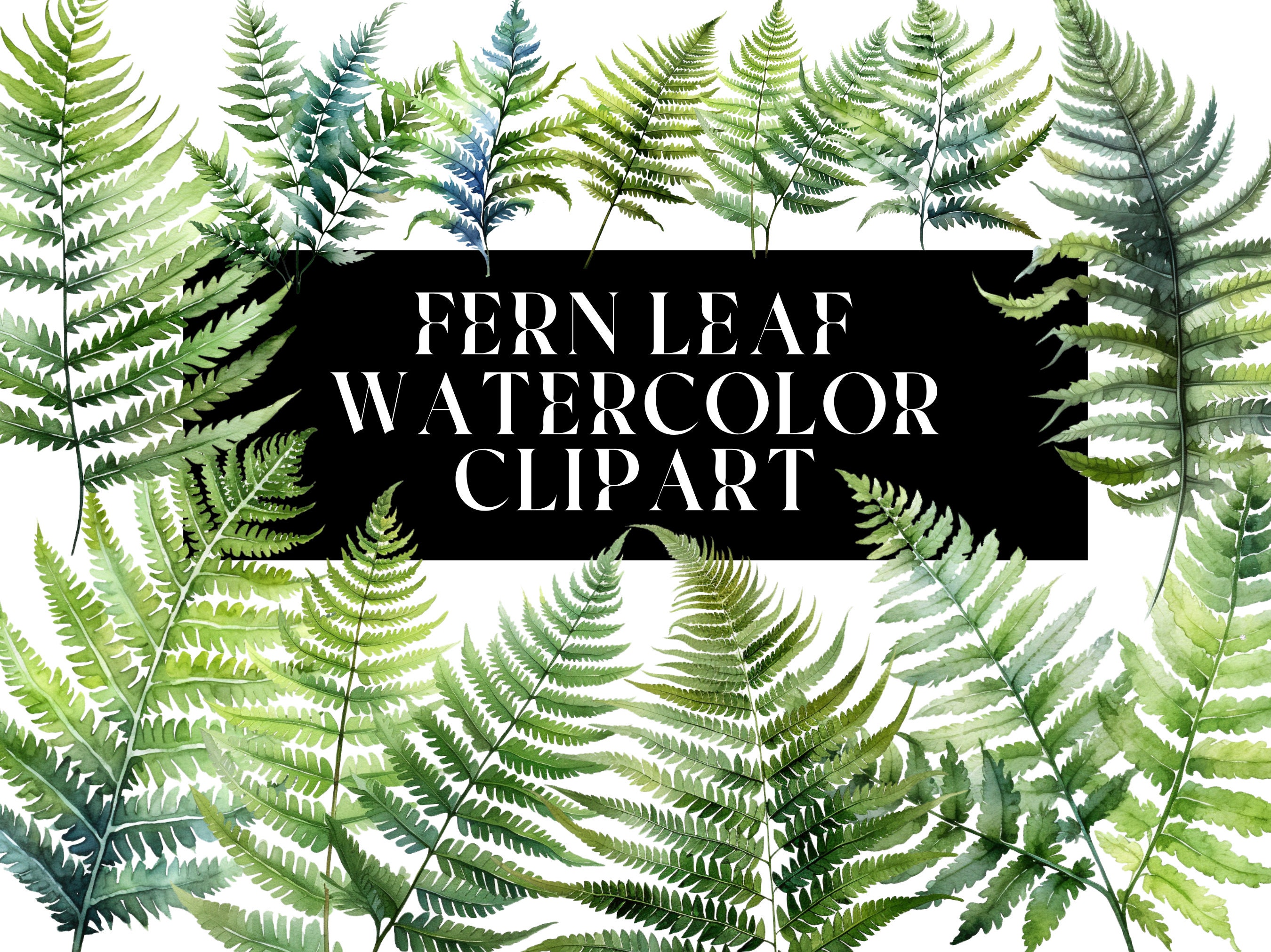 161 Greenery Watercolor Clipart Green Leaves Clipart - Etsy