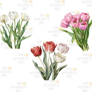 Watercolor Spring Tulip Collection Clipart, 19 PNG Flowers Clipart ...