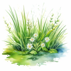 12 Watercolor Grass Spring Clipart 12 PNG Bundle, Floral Clipart, Field ...