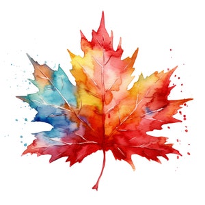 24 Watercolor Maple Leaf Clipart Bundle for Commercial Use - Instant ...