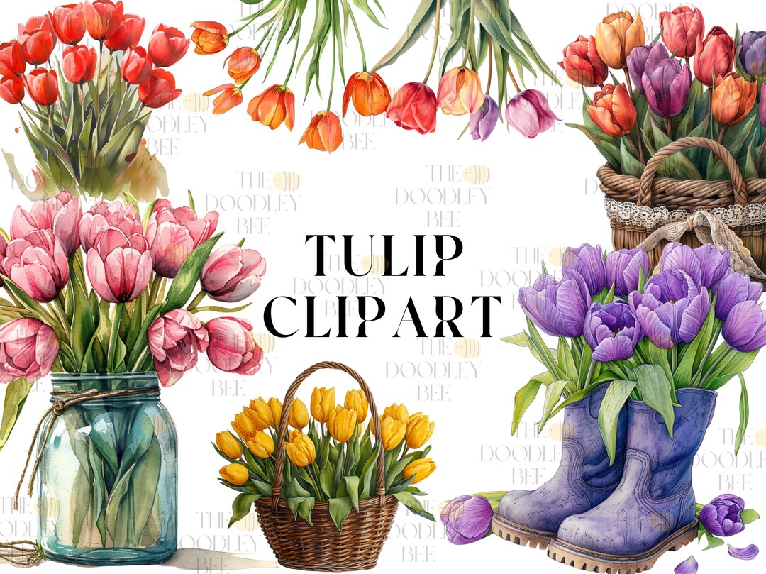 Watercolor Spring Tulip Collection Clipart, 19 PNG Flowers Clipart ...