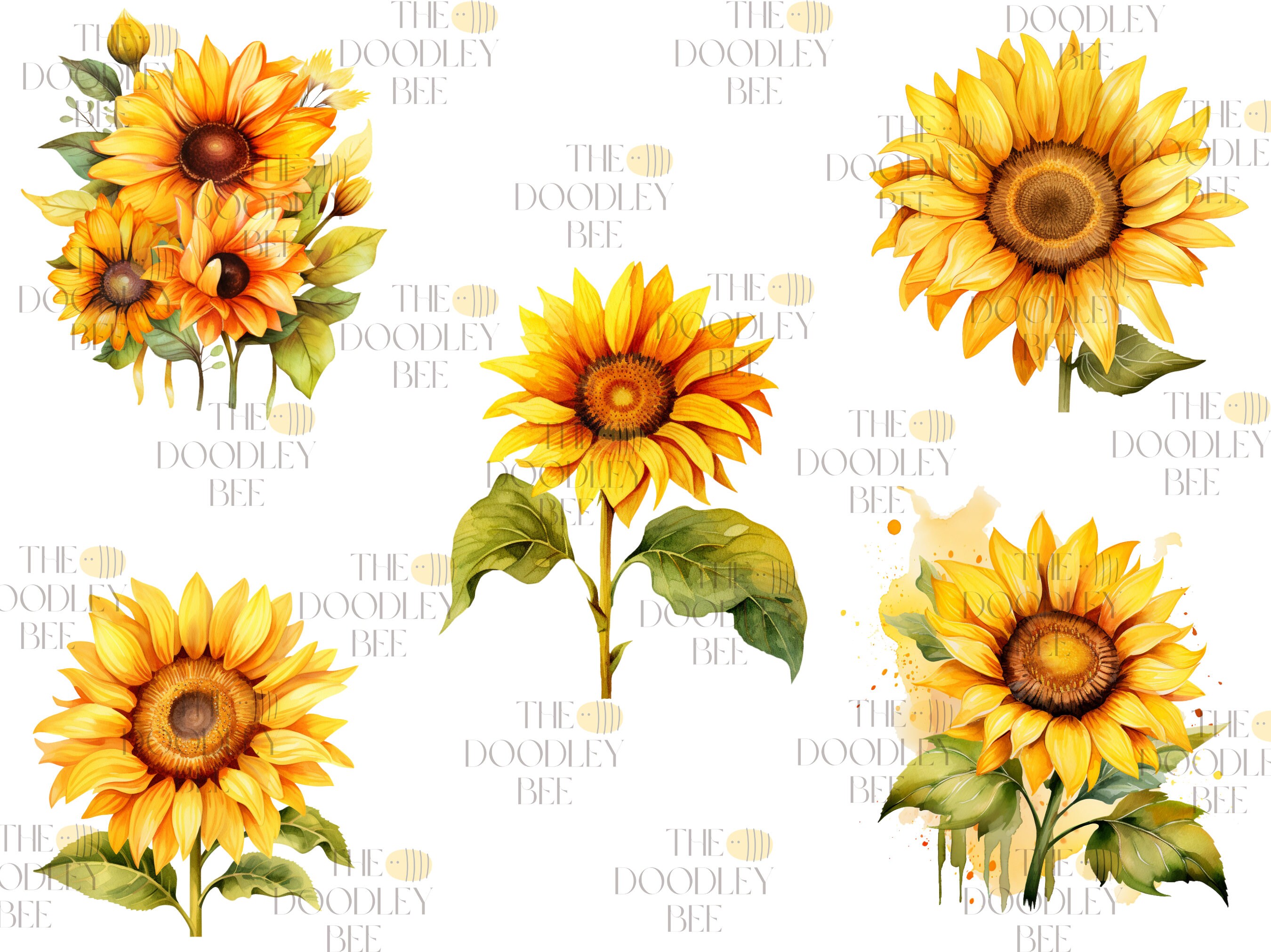 12 PNG Watercolor Sunflower Clipart Bundle Sunflower Clipart Boho ...